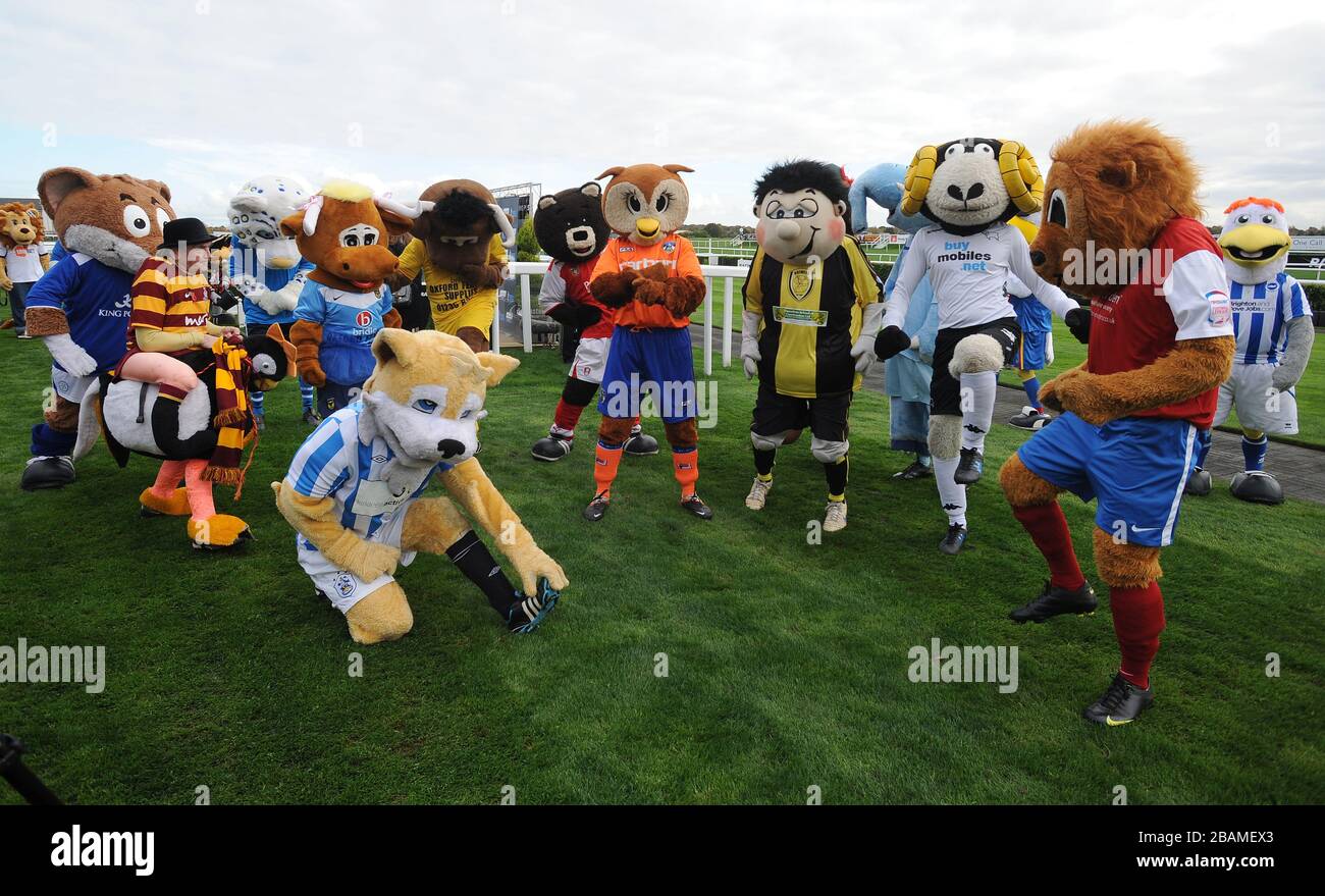 Football mascot uk hi-res stock photography and images - Alamy