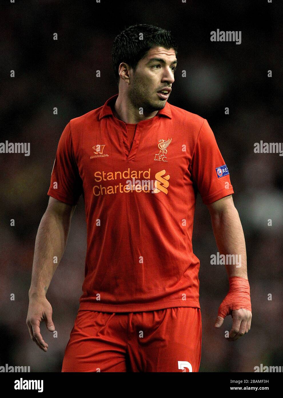 Liverpool luis suarez hi-res stock photography and images - Alamy