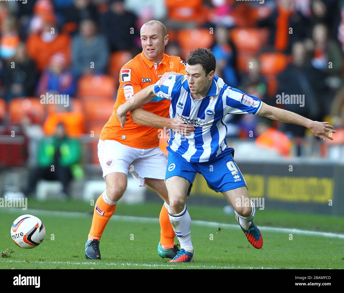 Blackpool's Stephen Crainey and Brighton & Hove Albion's Ashley Barnes ...