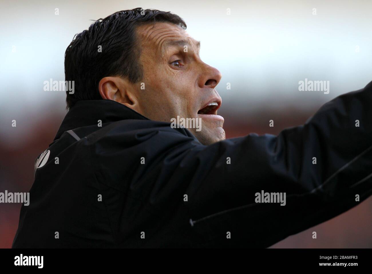 Gustavo Poyet, Brighton & Hove Albion manager Stock Photo - Alamy