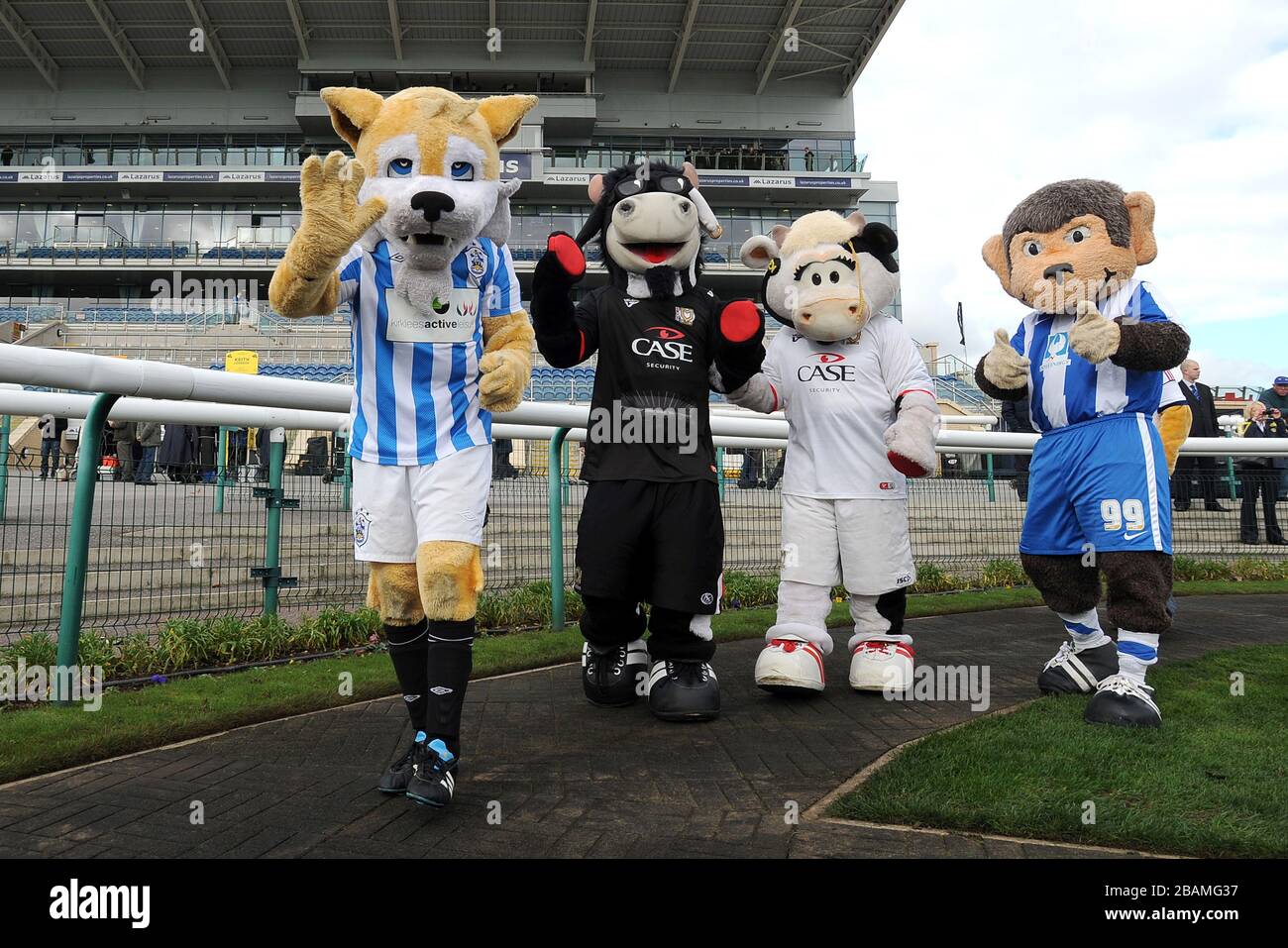 Huddersfield town football hi-res stock photography and images - Alamy