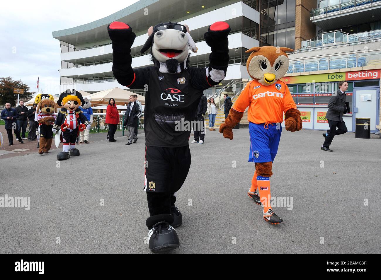 Milton keynes dons mascot hi-res stock photography and images - Alamy