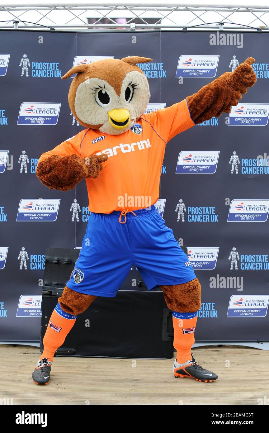 Oldham athletic mascot chaddy the owl hi-res stock photography and ...