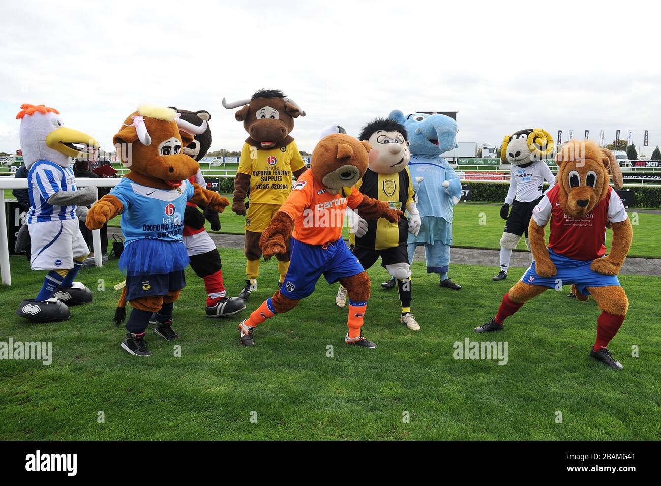 Football mascots hi-res stock photography and images - Alamy