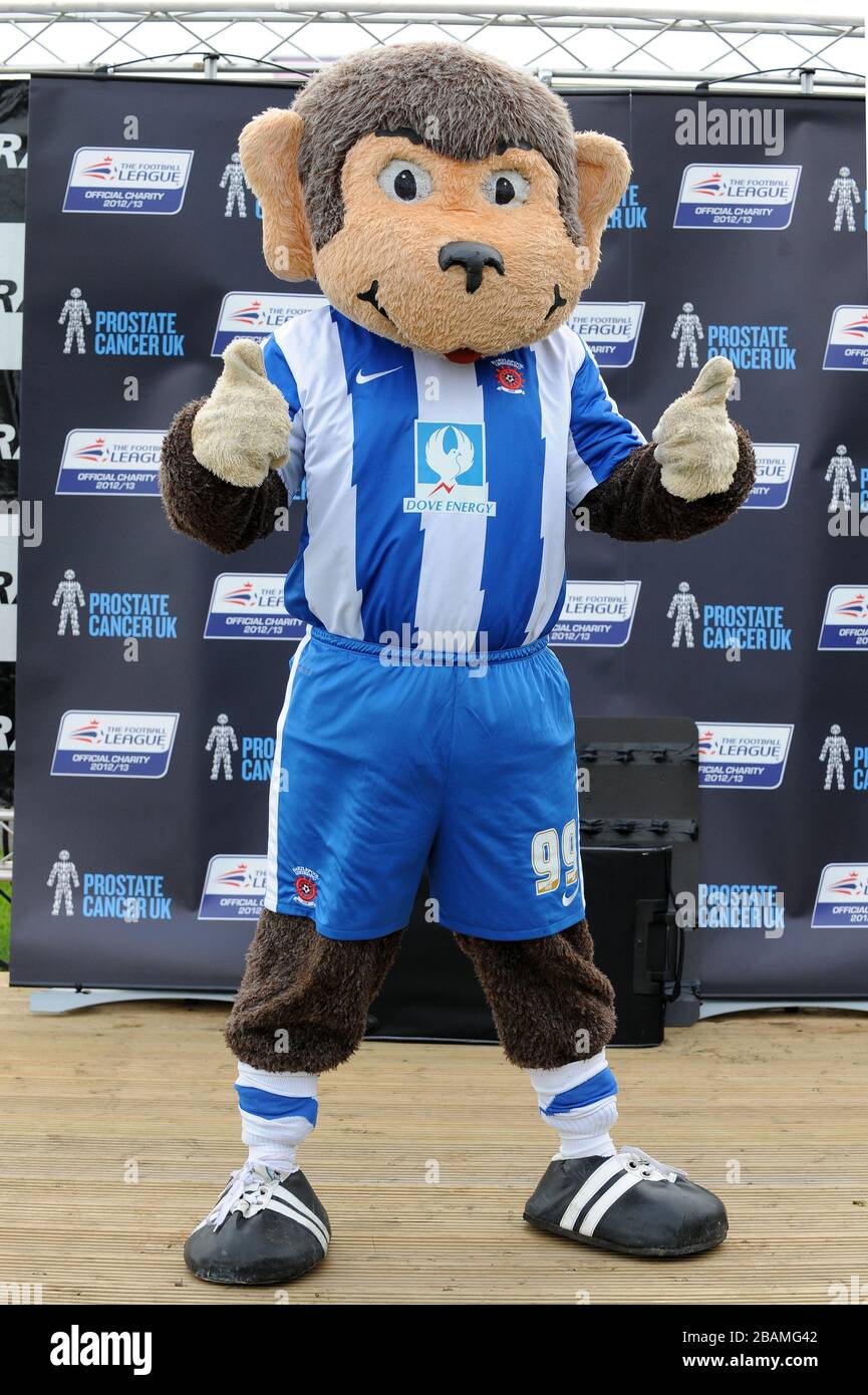 Hartlepool United Mascot High Resolution Stock Photography and Images ...