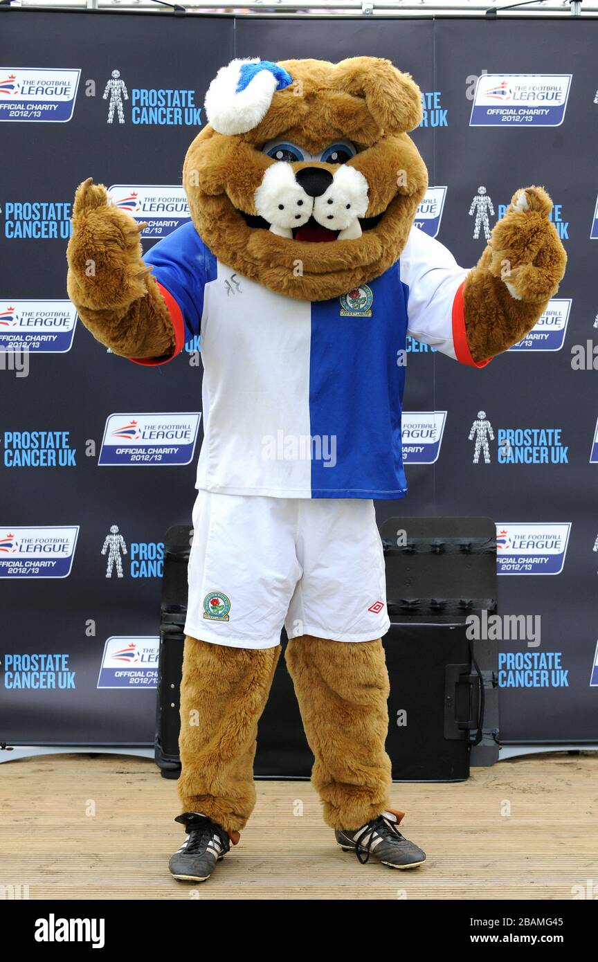The blackburn rovers mascot hi-res stock photography and images - Alamy