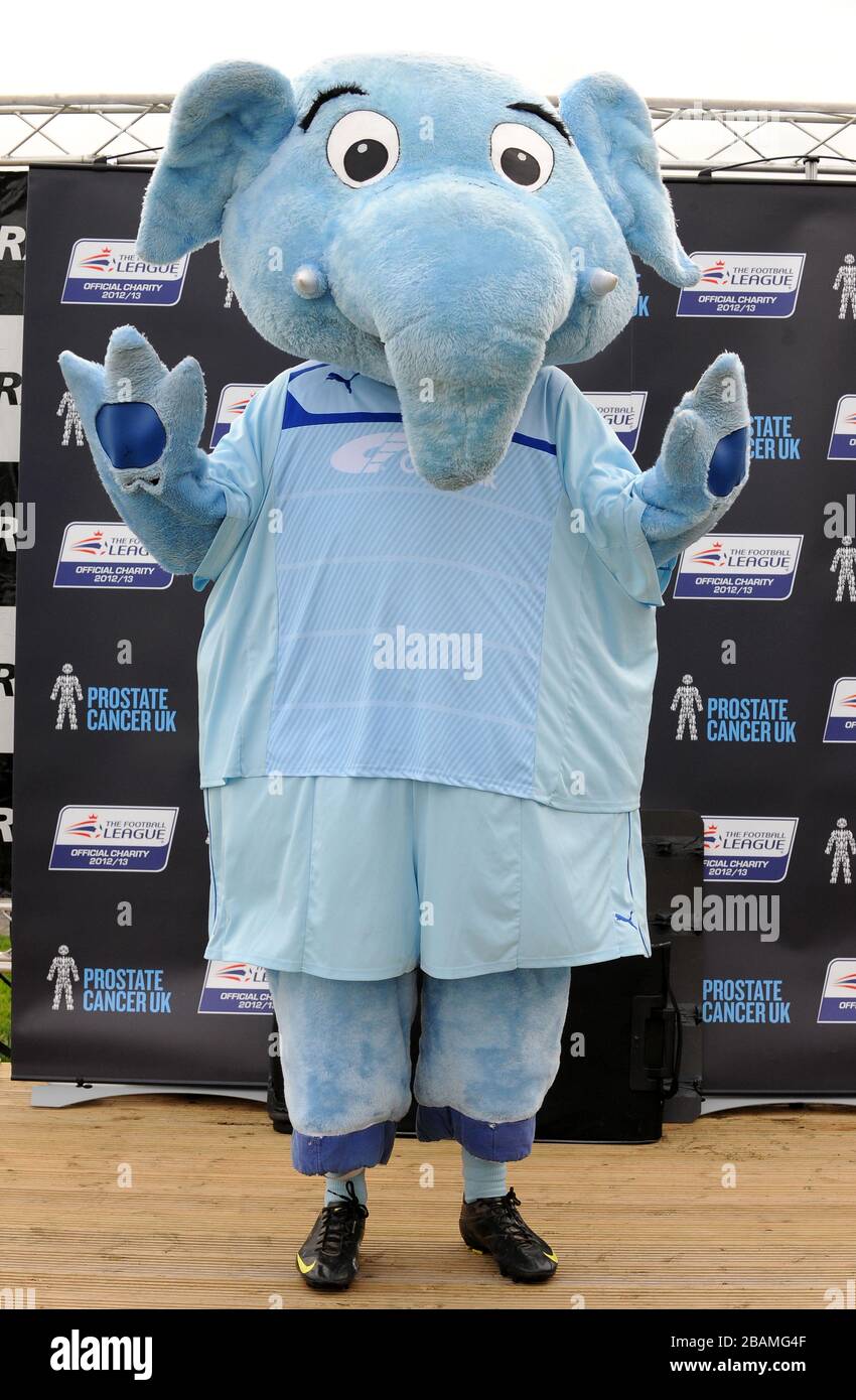 Coventry City mascot Sky Blue Sam, following the Football League Mascot ...