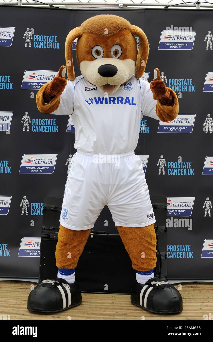 Tranmere rovers mascot hi-res stock photography and images - Alamy