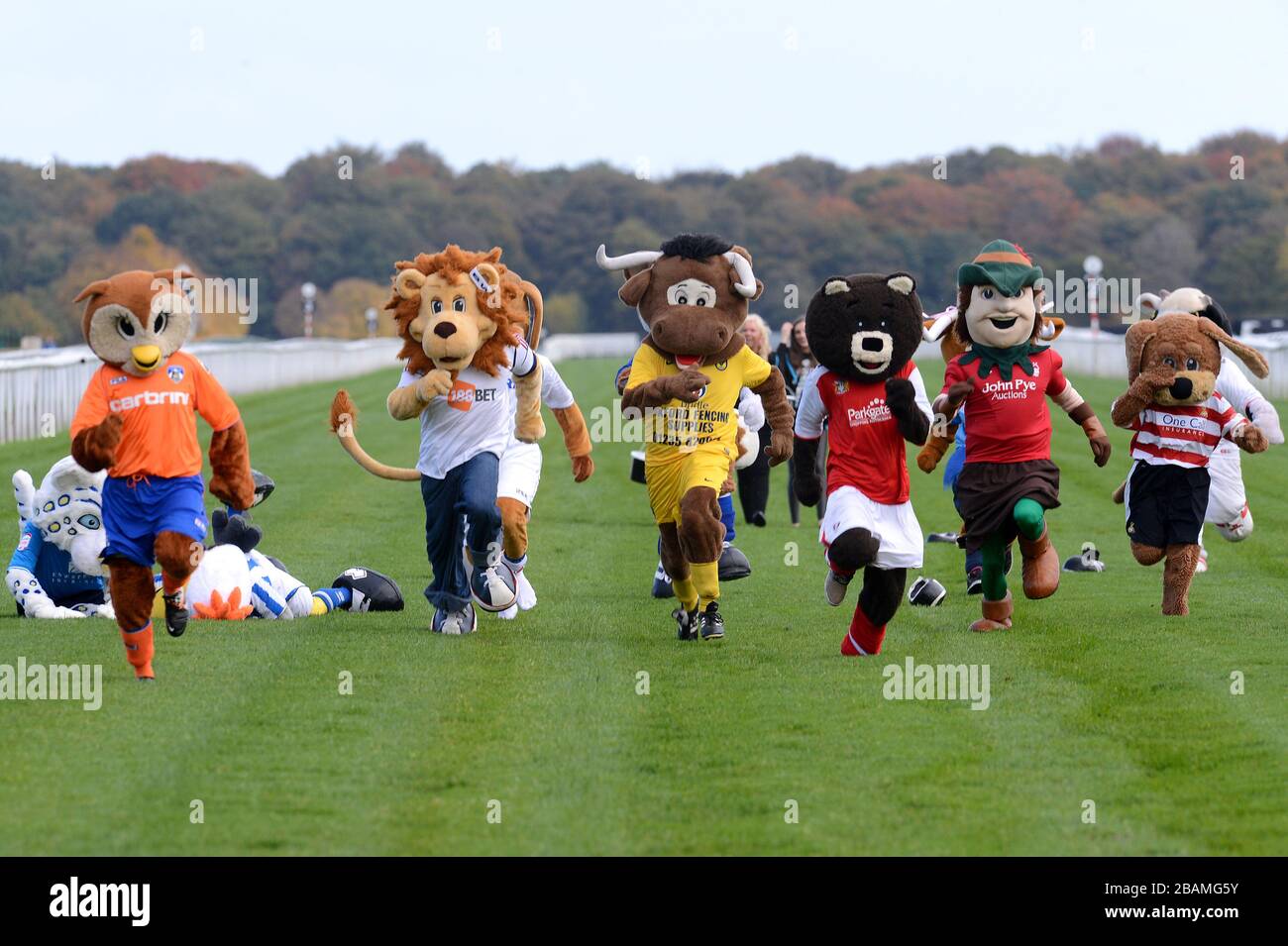 Football mascots hi-res stock photography and images - Alamy