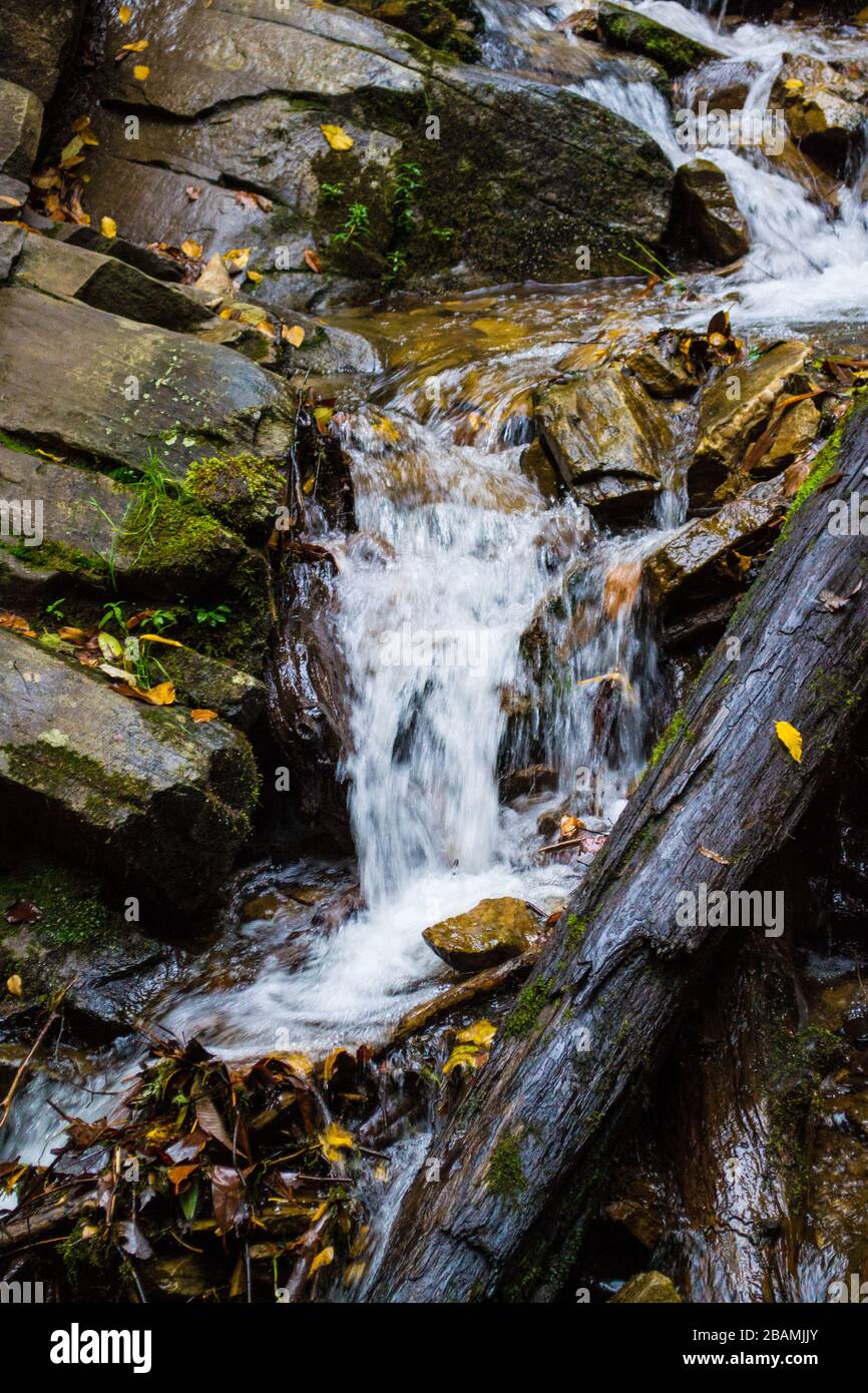Small cascading mountain stream in the Smokey Mountains Stock Photo - Alamy