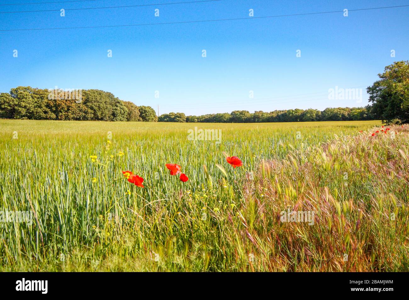 scenes in a rural landscape Stock Photo - Alamy