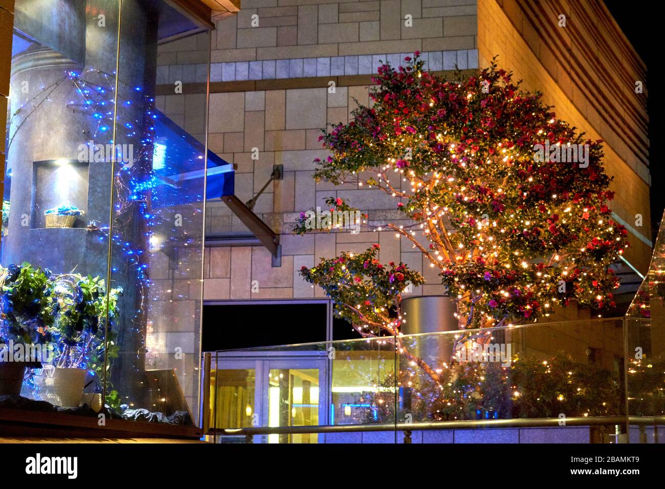 Christmas tree in front of a modern building Stock Photo - Alamy