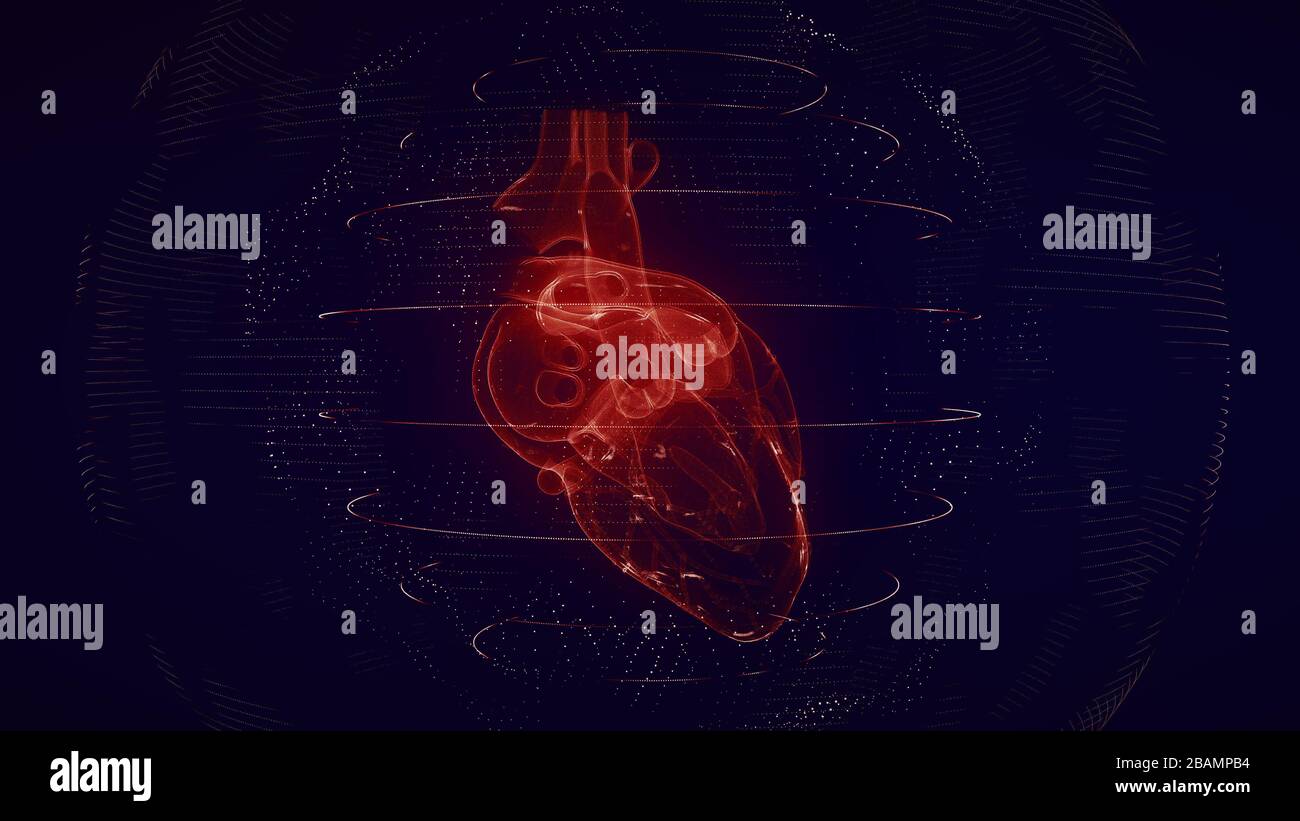 Anatomically correct red digital human heart. Futuristic particle ...