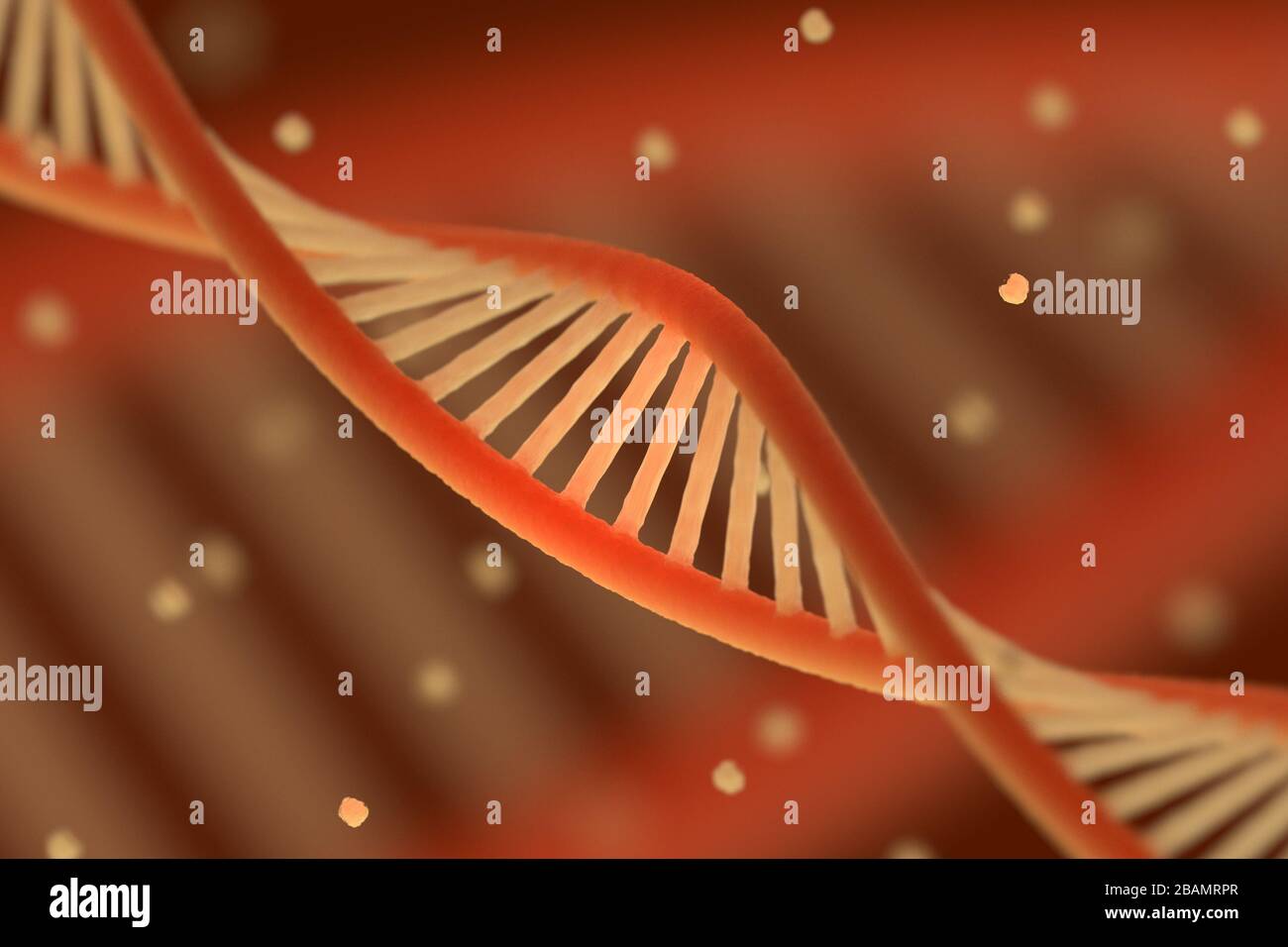 DNA chain macroshot Stock Photo - Alamy