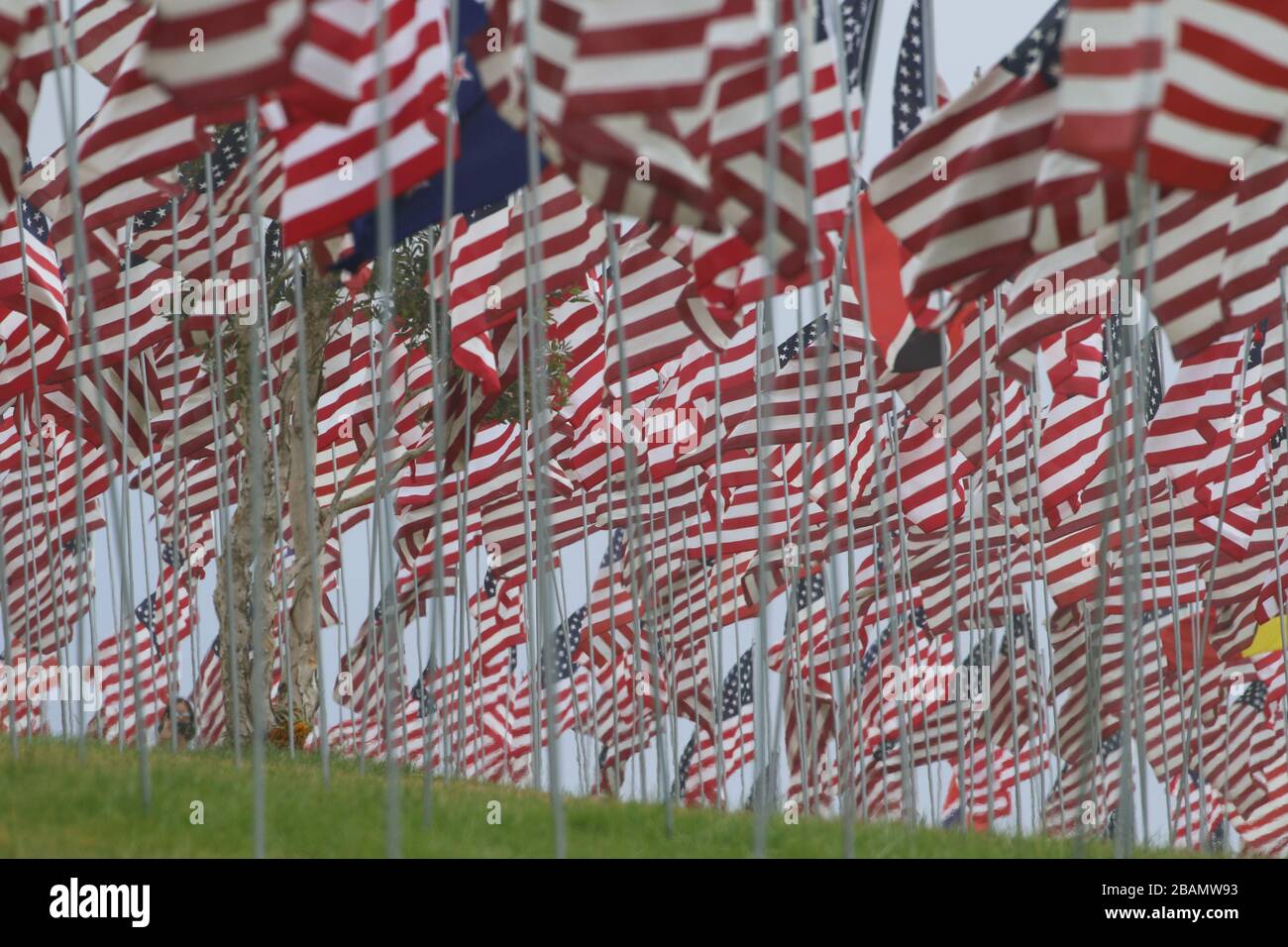 Collection of US flags Stock Photo - Alamy