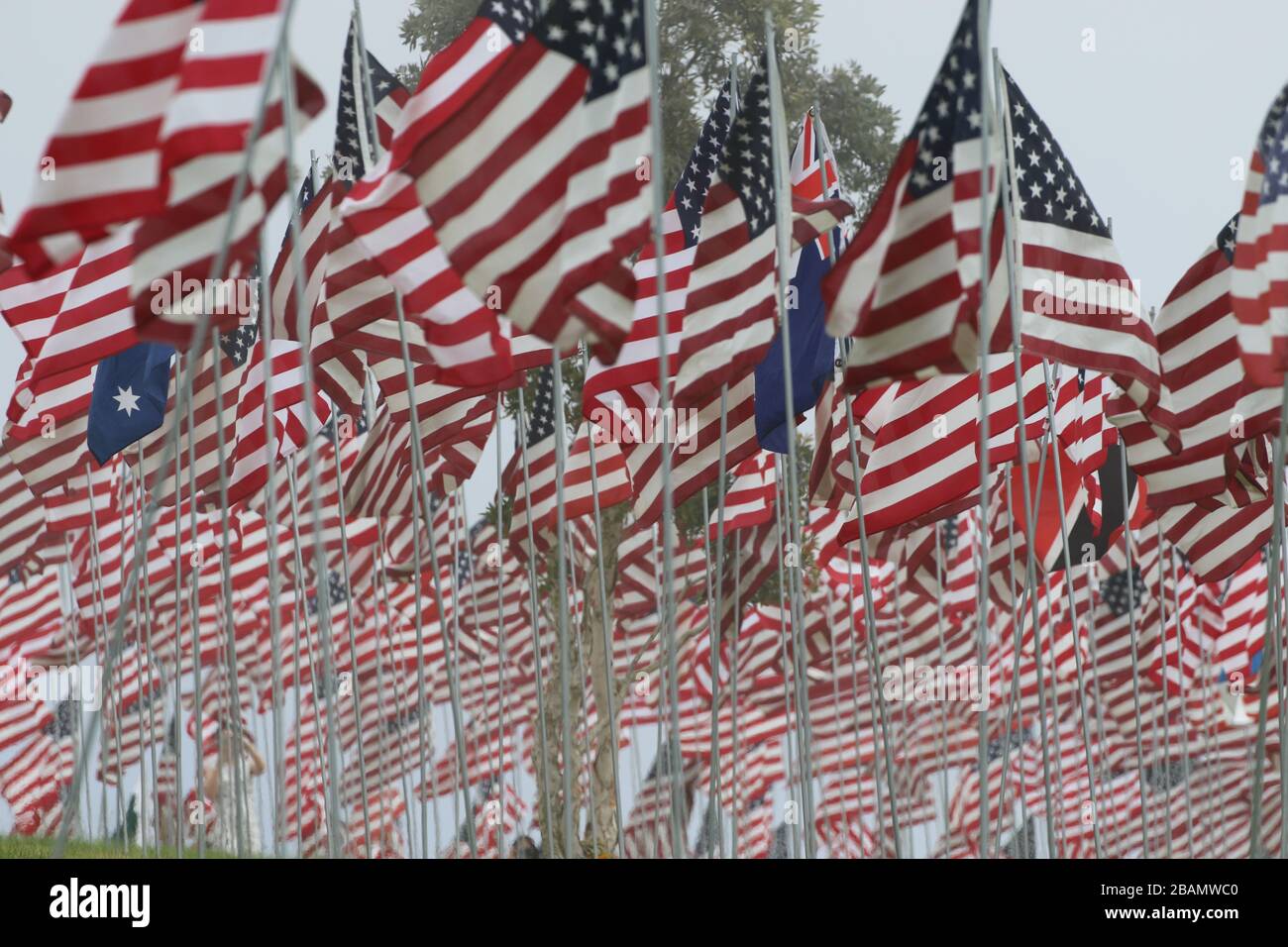 Flags of the world frame hi-res stock photography and images - Alamy