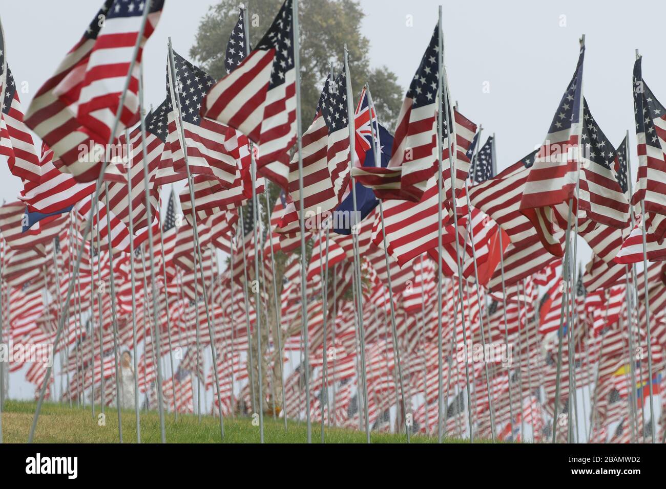 Collection of US flags Stock Photo - Alamy