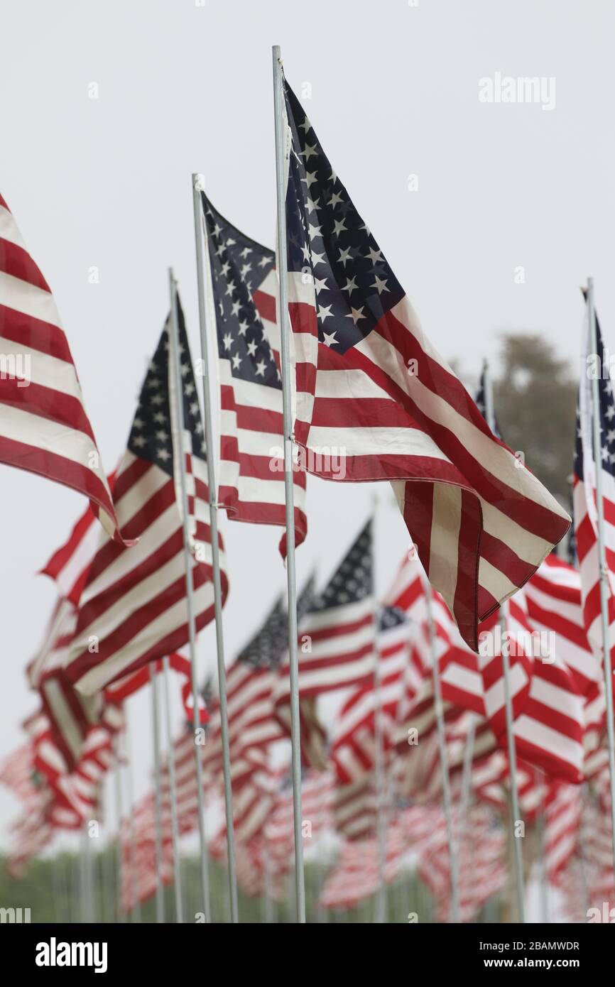 Collection of US flags Stock Photo - Alamy