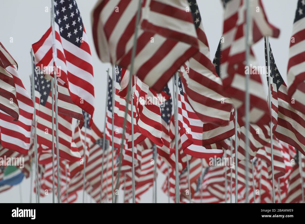 Collection of US flags Stock Photo - Alamy