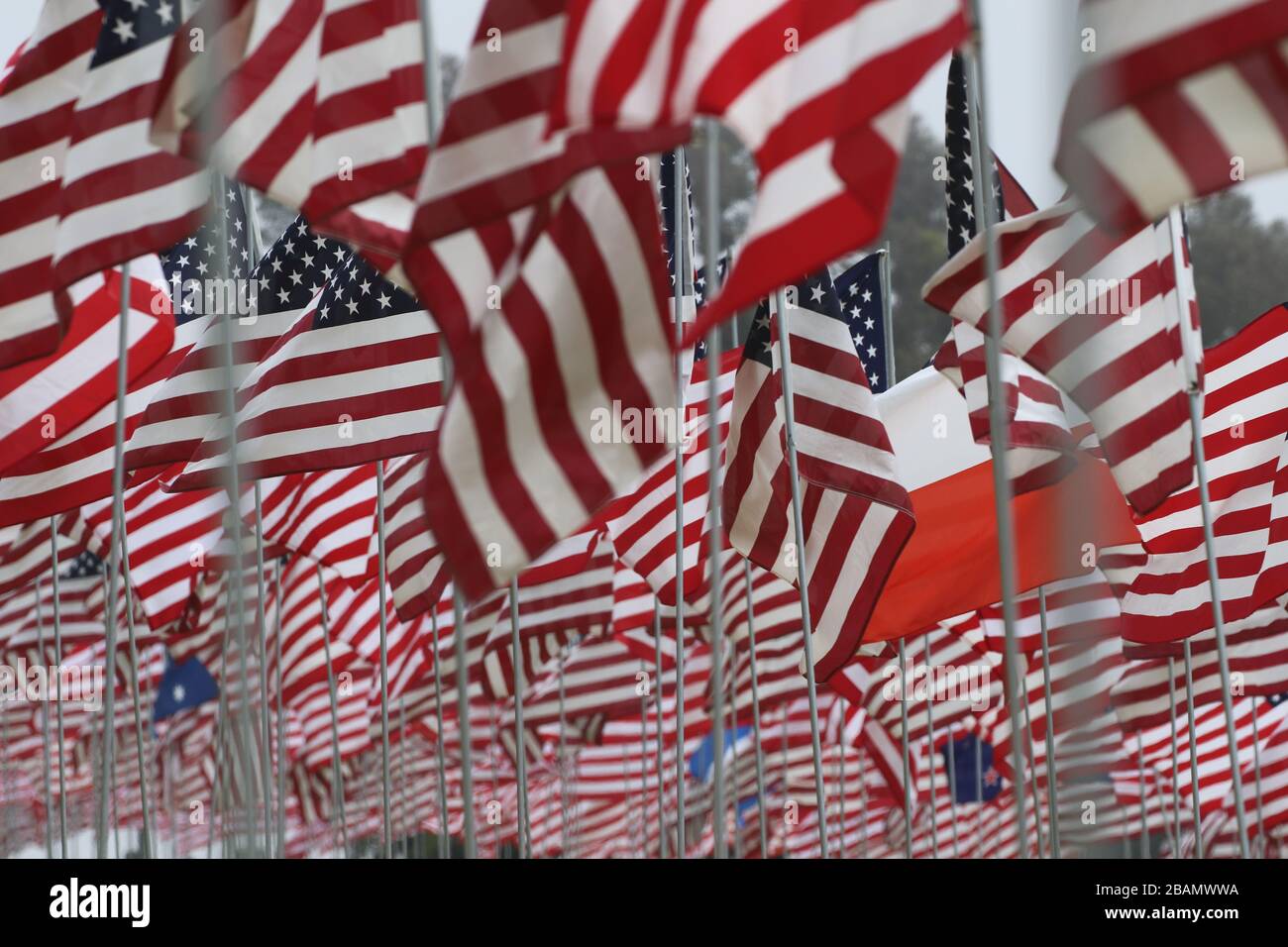 Collection of US flags Stock Photo - Alamy