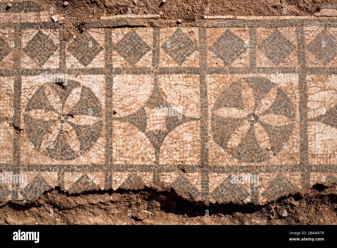 Romana Imperio High Resolution Stock Photography and Images - Alamy