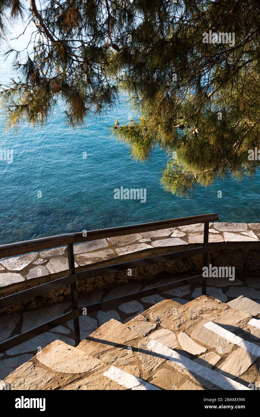 Greek sea life Stock Photo - Alamy