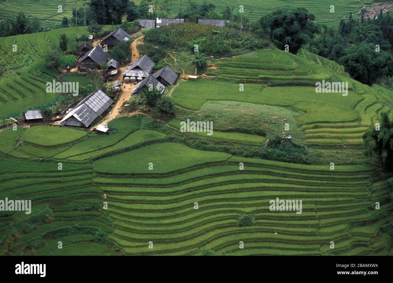 Ta van rice terraces hi-res stock photography and images - Alamy