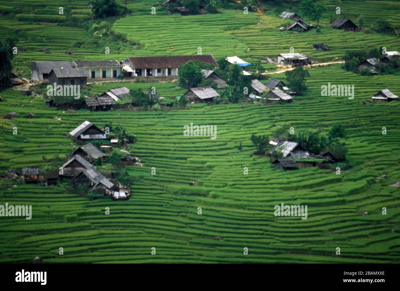 Ta van rice terraces hi-res stock photography and images - Alamy