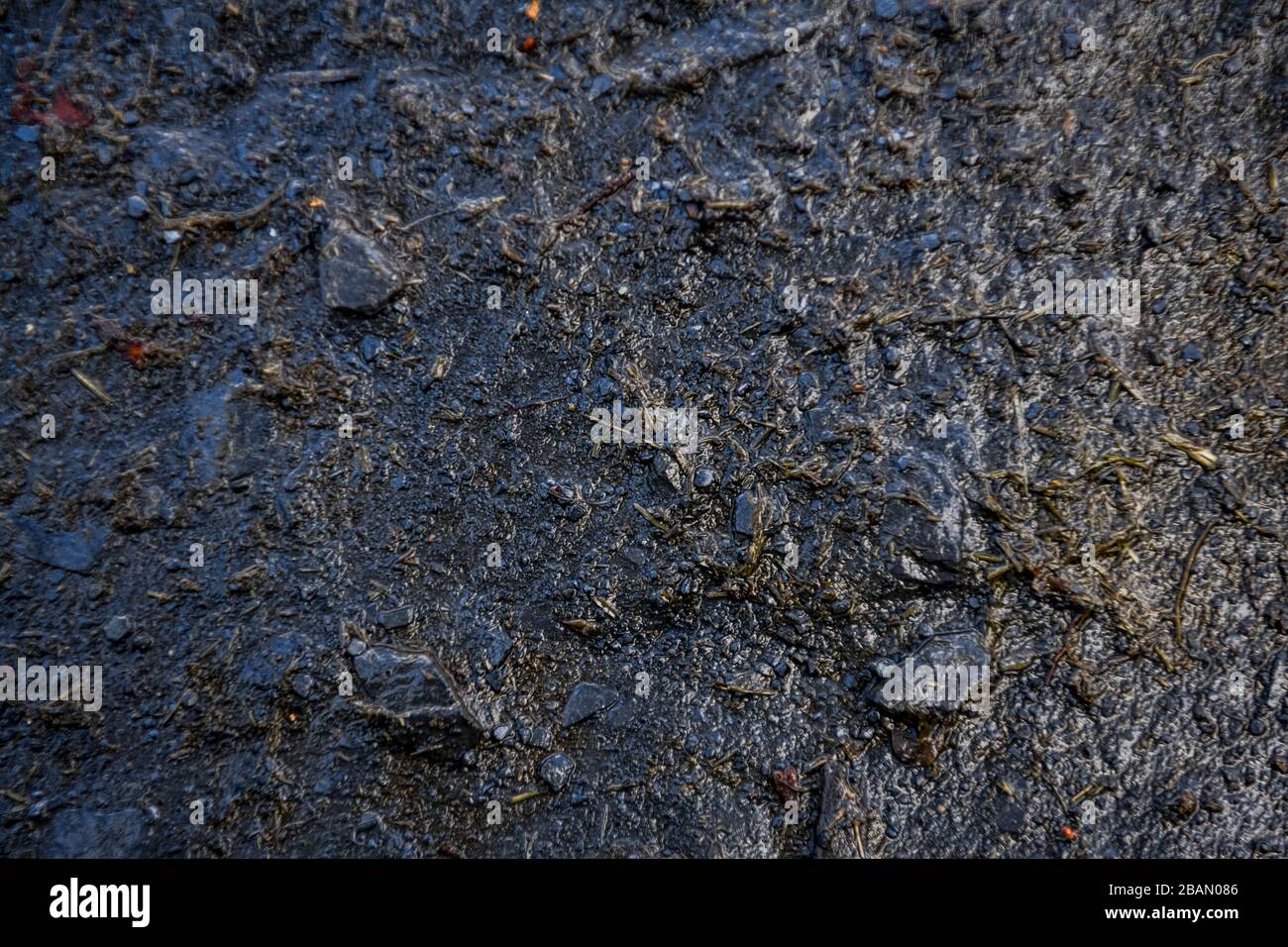 Wet mud texture in Georgia Stock Photo - Alamy