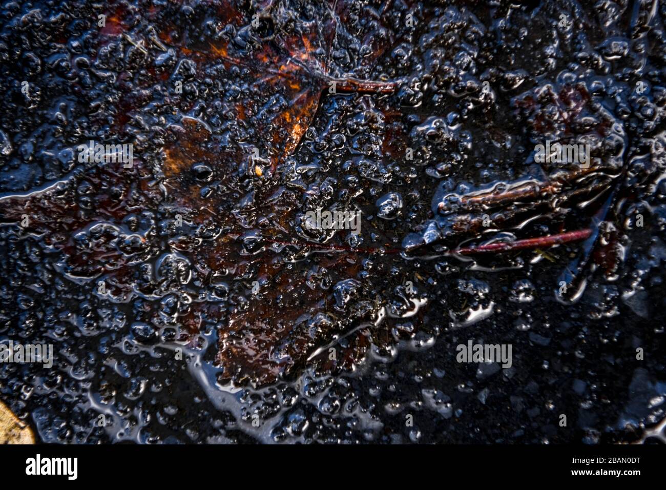 Wet mud texture in Georgia Stock Photo - Alamy