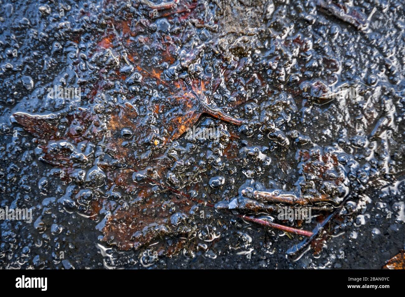 Wet mud texture in Georgia Stock Photo - Alamy