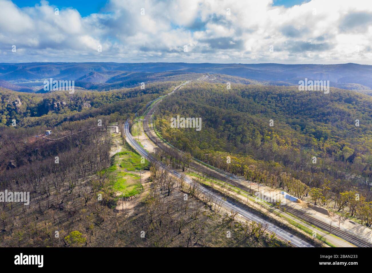 A multi lane highway through a forest of trees Stock Photo - Alamy
