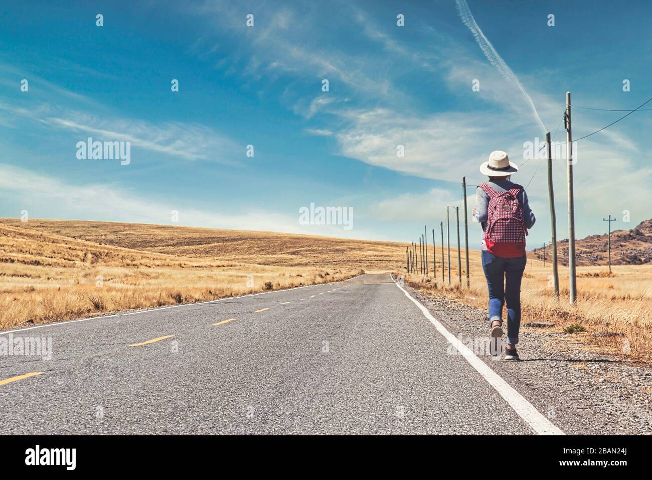 Beautiful woman hitchhiking on road in forest, hitchhiking with thumbs ...