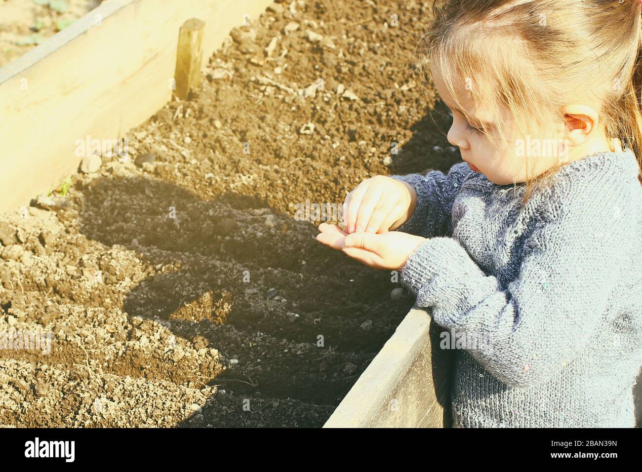 Planting seeds school hi-res stock photography and images - Alamy