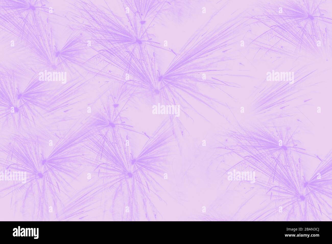 Light violet abstract background with fireworks pattern Stock Photo - Alamy