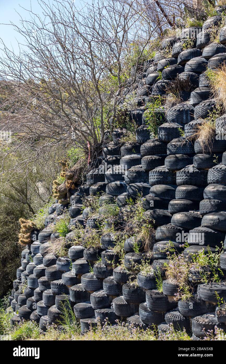 Texture wall of tires with flowers growing between layers Stock Photo ...