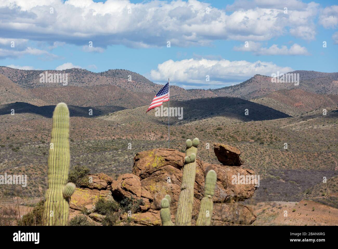 Saguaro cactus with desert background cactus and rocks with American ...
