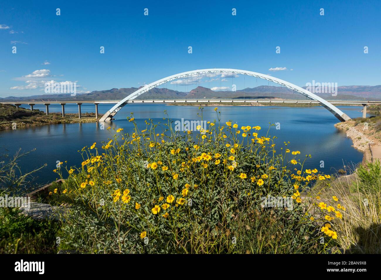 Roosevelt lake bridge white metal rainbow arch over water Stock Photo ...
