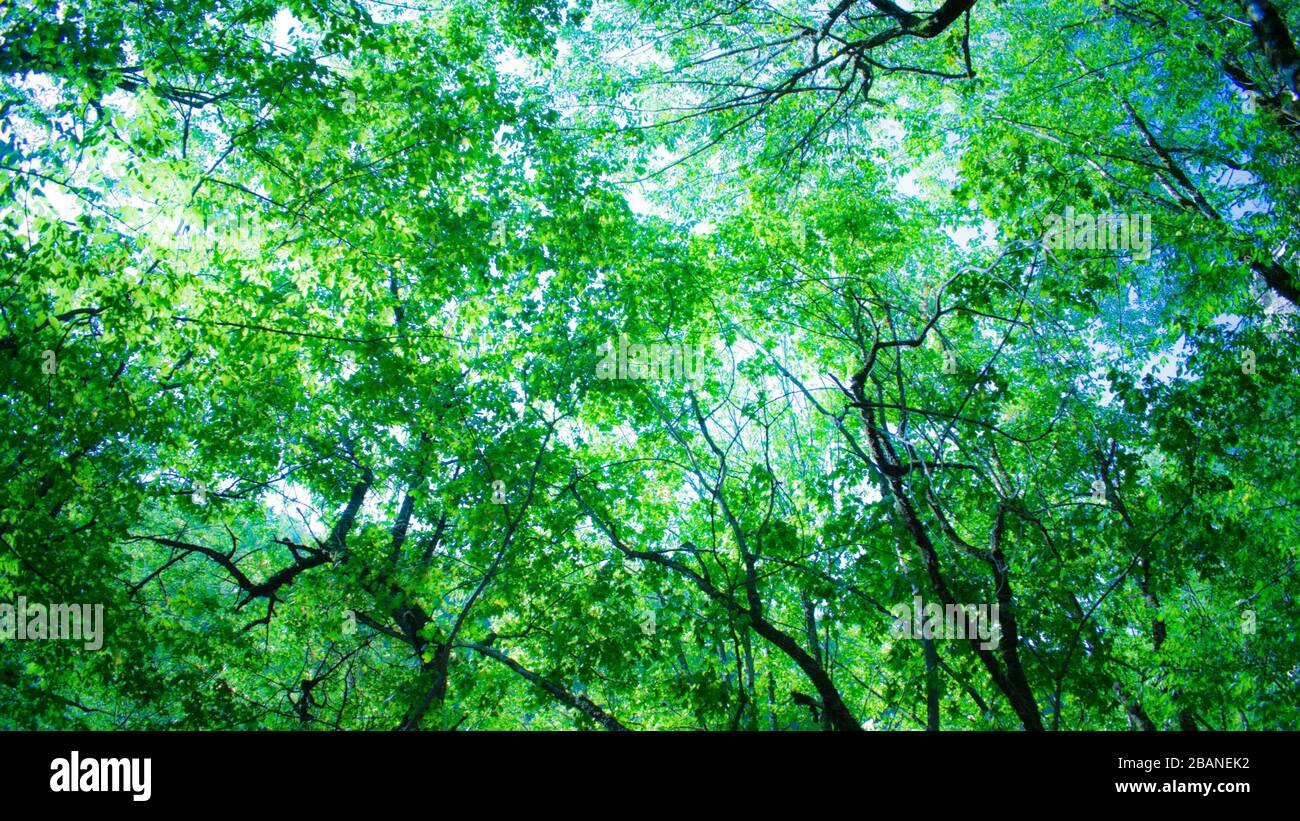 Beautiful time lapse footage big hi-res stock photography and images ...