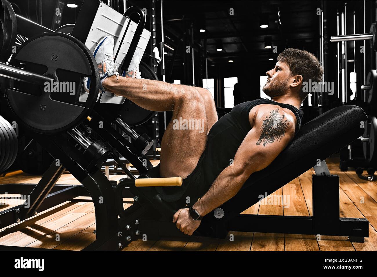 Athletic man trains legs on the simulator in the gym with weight ...