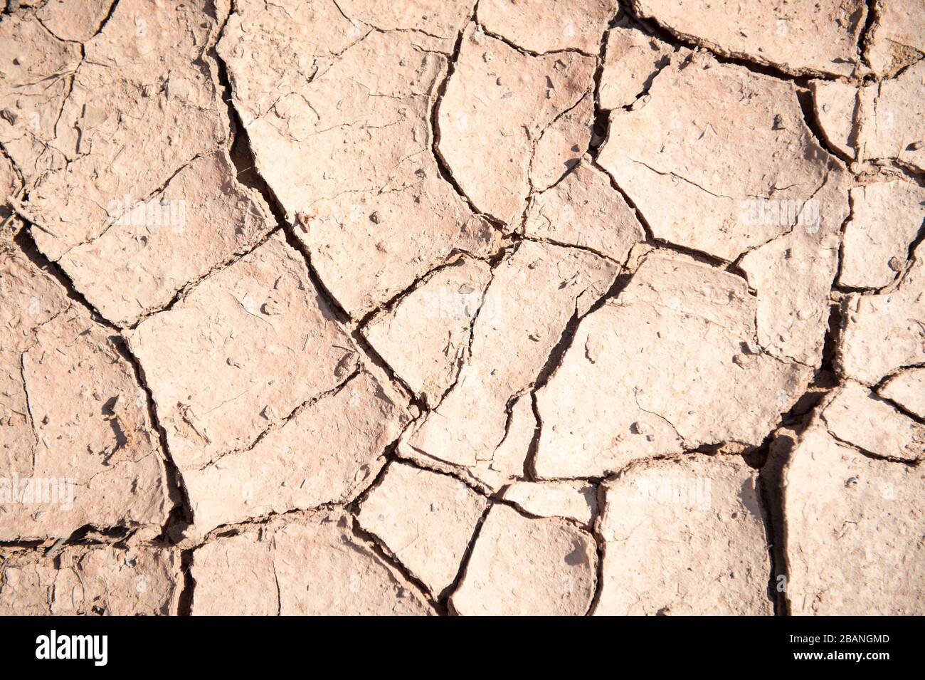 Full frame background of dry cracked light red colored earth Stock ...