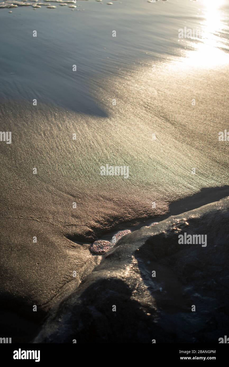 The rocks at Muir Beach in Marin County have interesting textures Stock ...