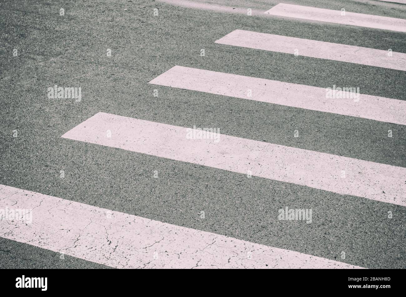Zebra crossing painted on the asphalt traffic information for ...