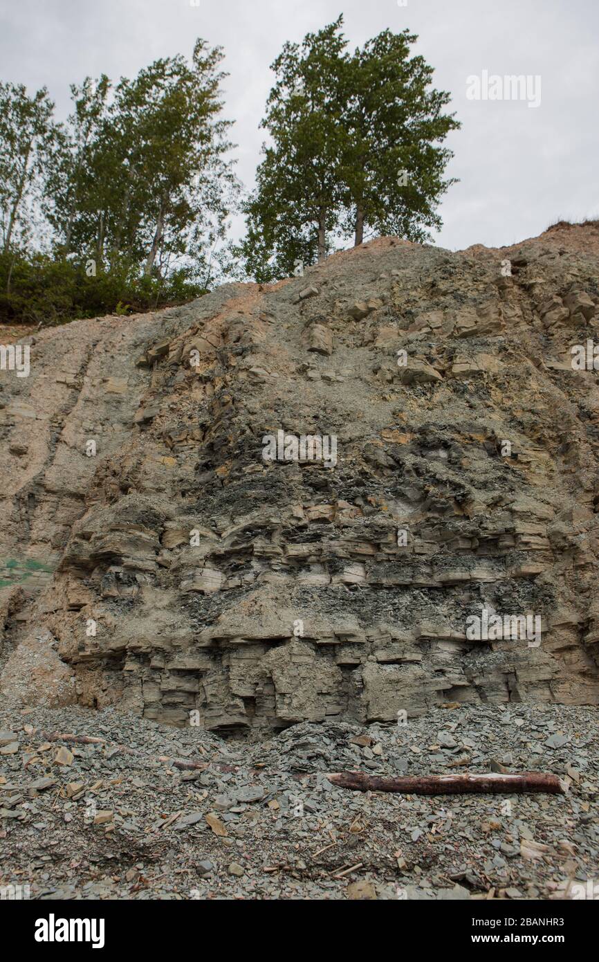 Miguasha national park hi-res stock photography and images - Alamy