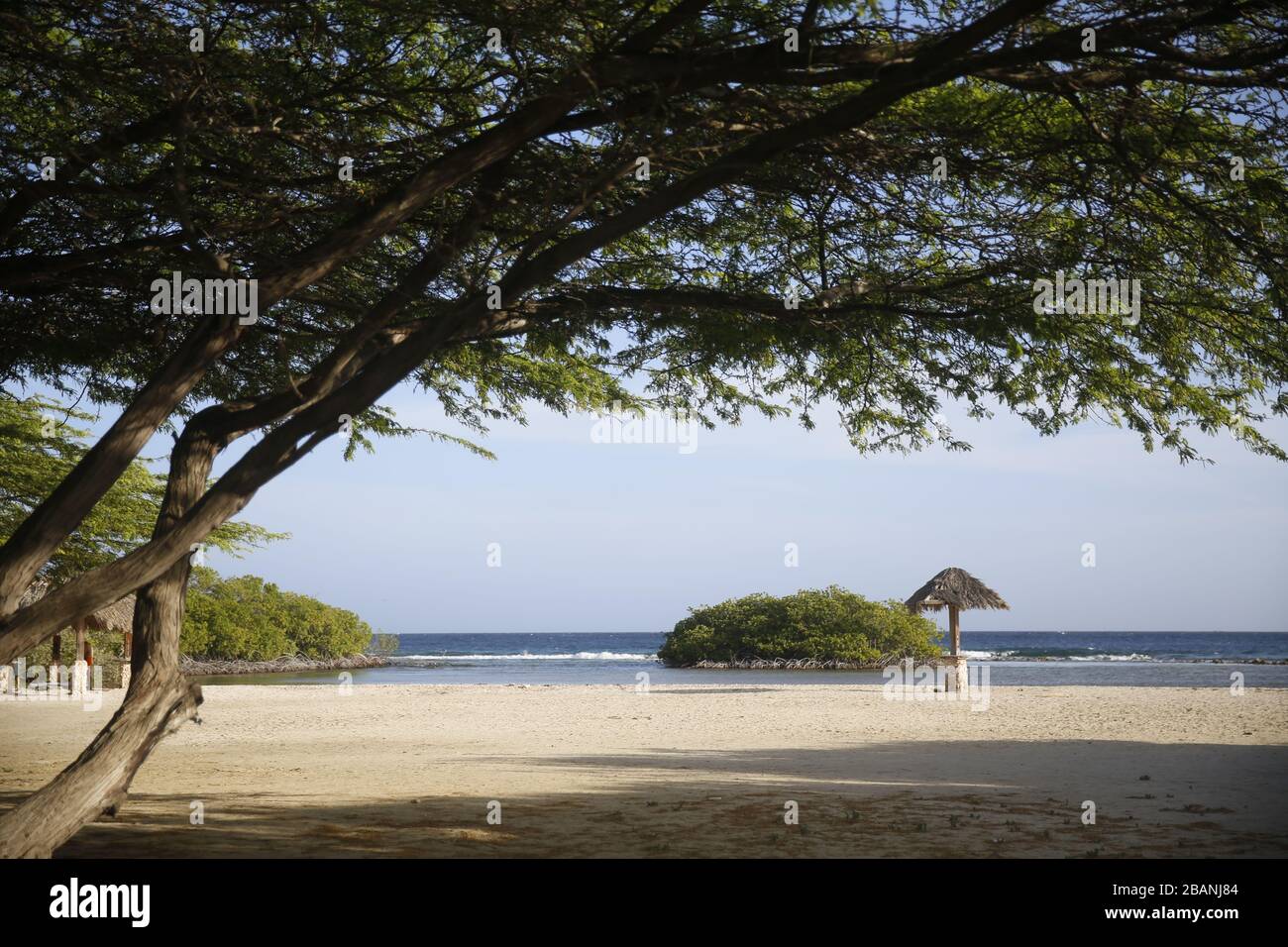 Mangel Halto Beach in Aruba Stock Photo - Alamy