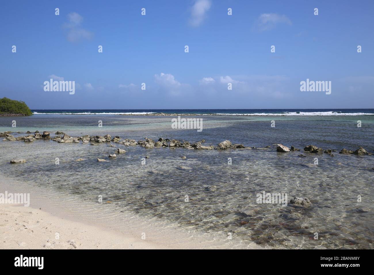 Mangel Halto Beach in Aruba Stock Photo - Alamy