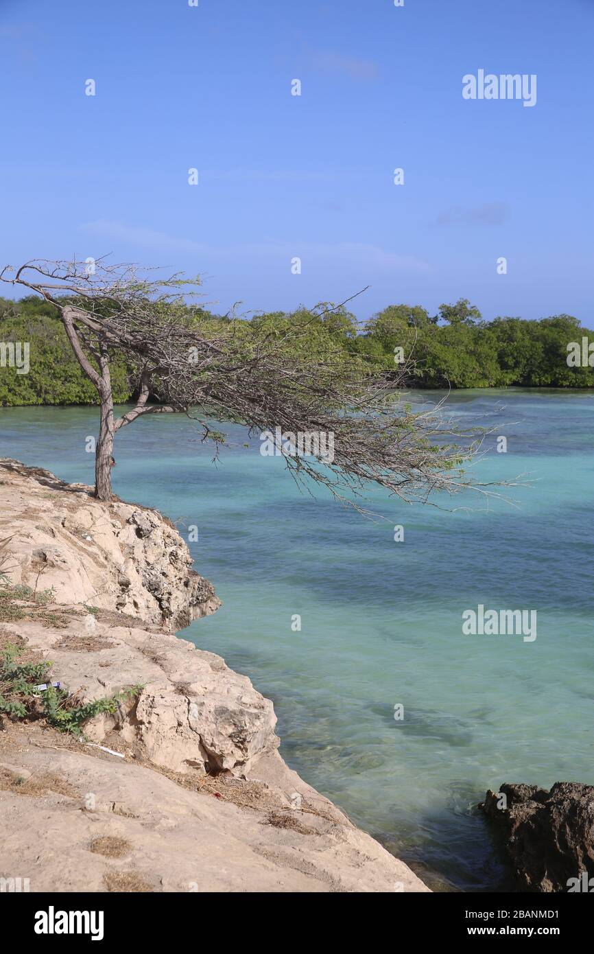 Mangel Halto Beach in Aruba Stock Photo - Alamy