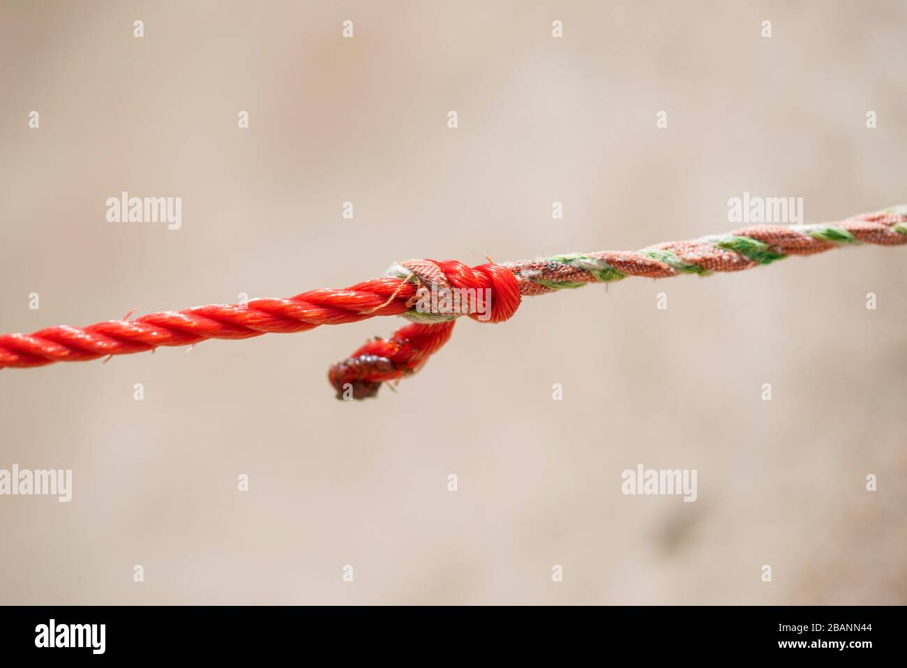Rope knot white blurred background as a strong tied Stock Photo - Alamy