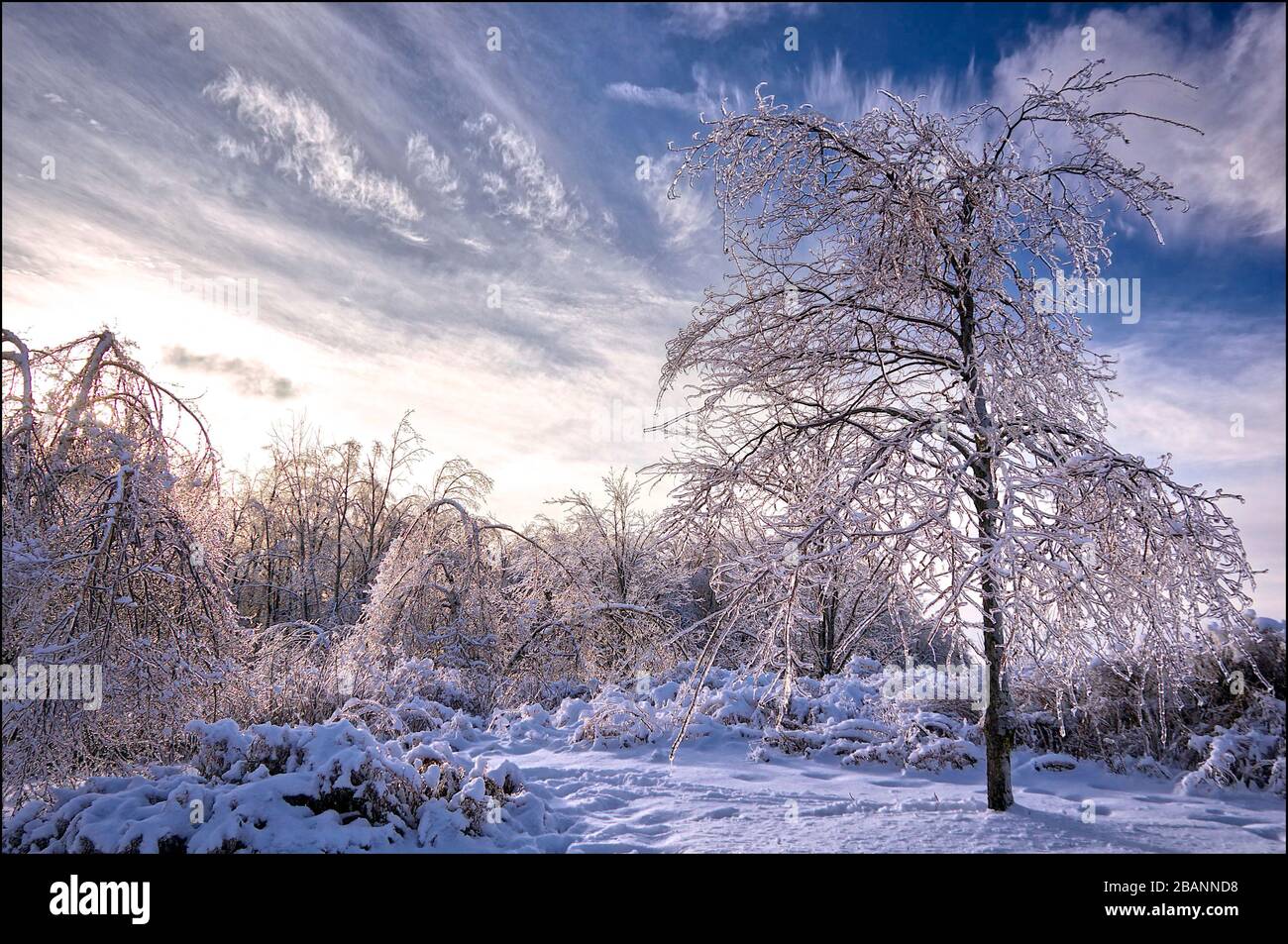 Winter landscape after the freezing rain storm, severe weather Stock ...
