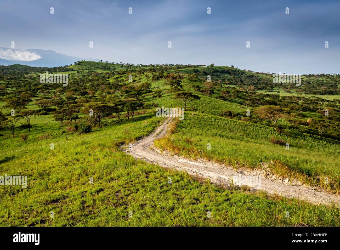 Queen Elizabeth National Park, Uganda Stock Photo - Alamy
